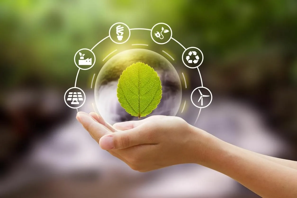 Top 8 Sustainable Living Practices for 2025 - EightPicks